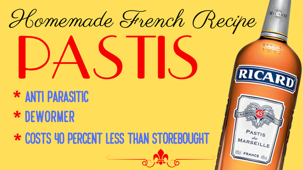 Homemade French Pastis Recipe