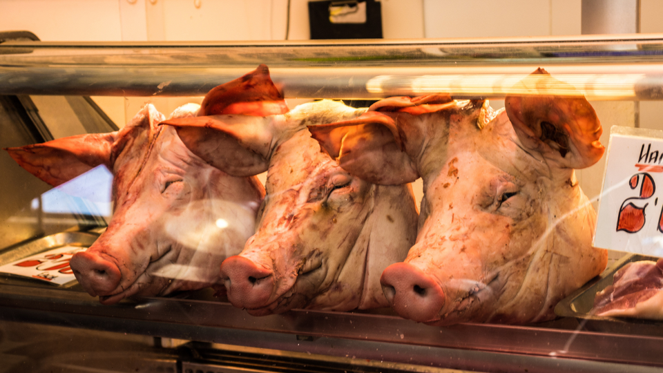 How To Roast a Pig's Head - Cheeseslave